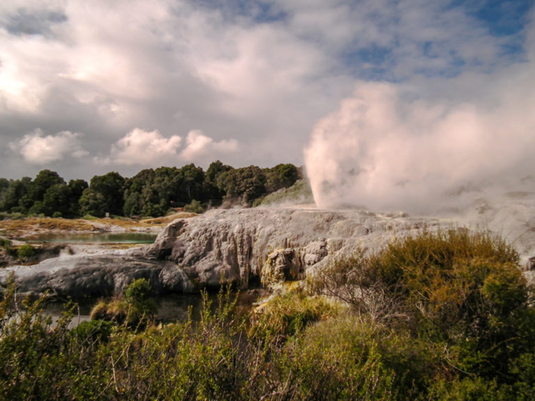 Te Puia – A Lesson from the Maori - Focus By Henderson